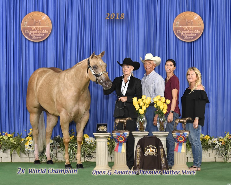 Winners – Terry Bradshaw Quarter Horses