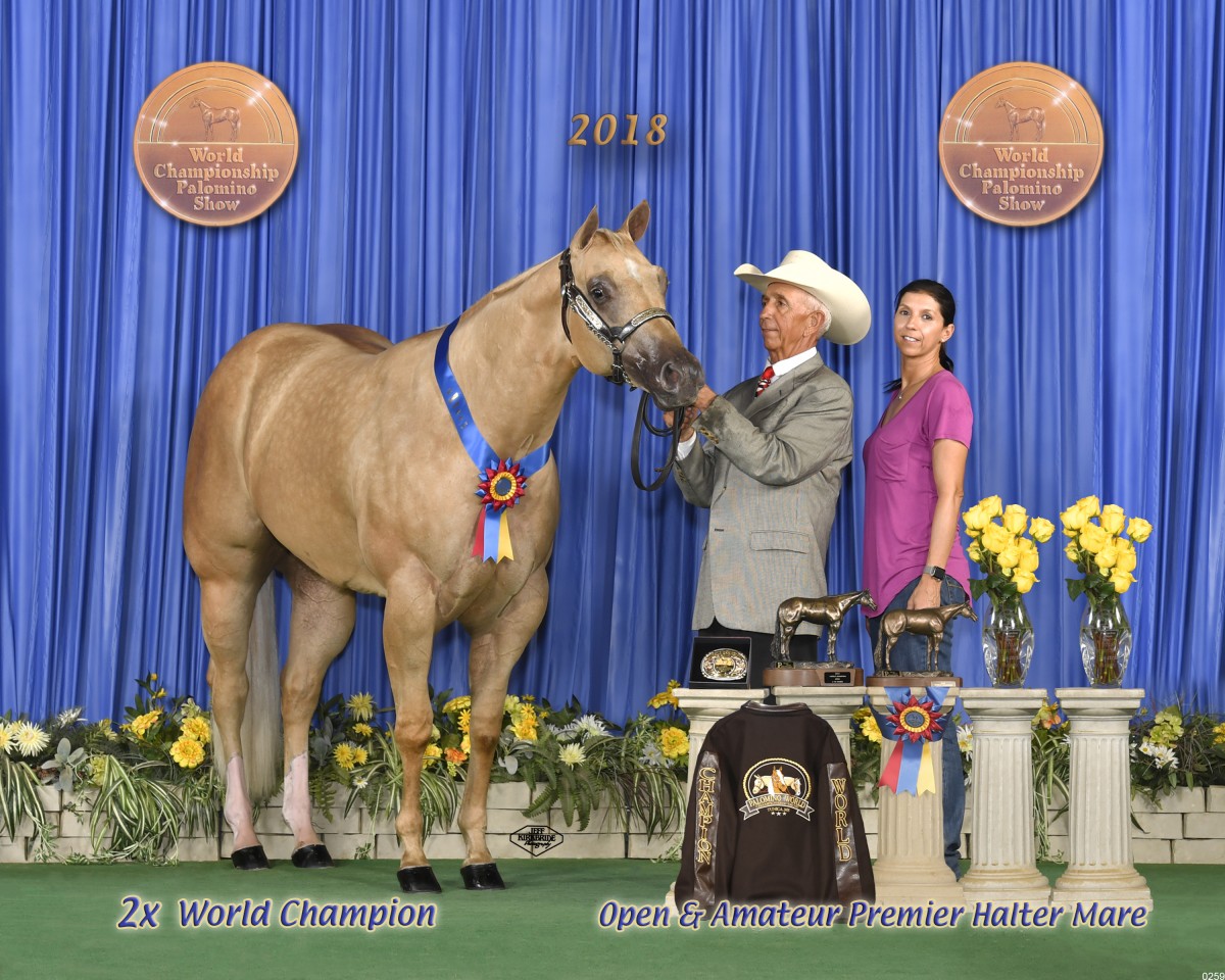 Winners – Terry Bradshaw Quarter Horses