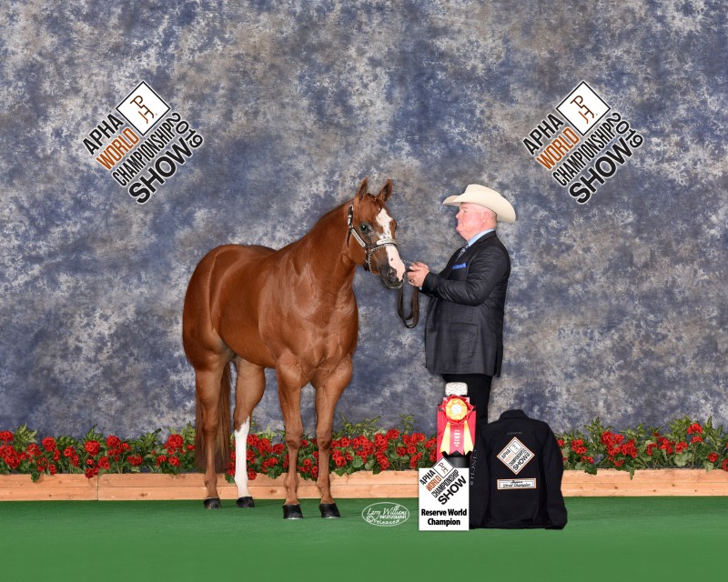 Winners – Terry Bradshaw Quarter Horses