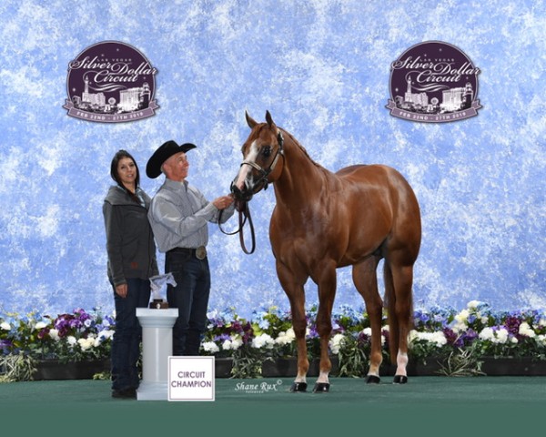 Winners – Terry Bradshaw Quarter Horses