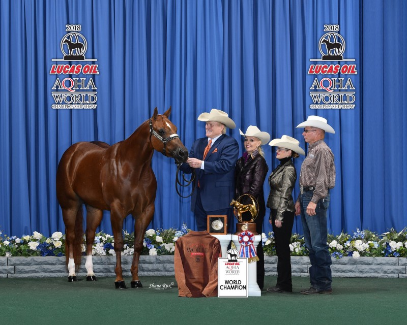 Winners – Terry Bradshaw Quarter Horses