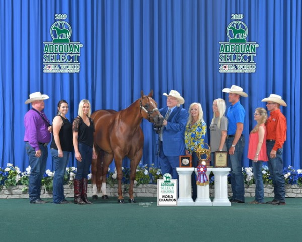 Winners – Terry Bradshaw Quarter Horses