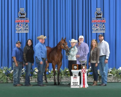 Winners – Terry Bradshaw Quarter Horses