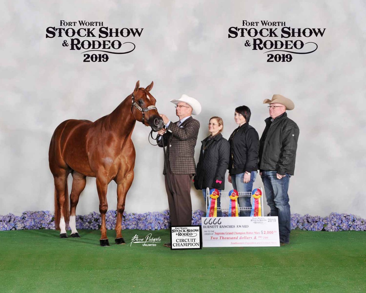 Winners – Terry Bradshaw Quarter Horses