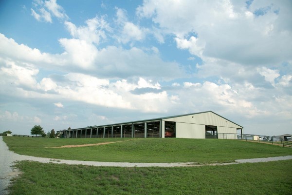 The Ranch – Terry Bradshaw Quarter Horses