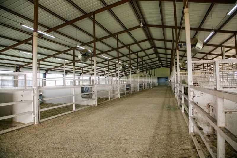 The Ranch – Terry Bradshaw Quarter Horses