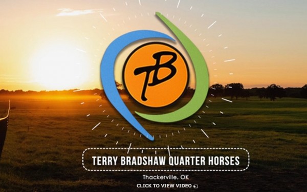 The Ranch – Terry Bradshaw Quarter Horses
