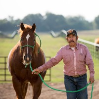 Terry Bradshaw Quarter Horses