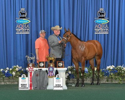 Winners – Terry Bradshaw Quarter Horses