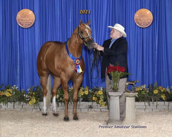 Winners – Terry Bradshaw Quarter Horses