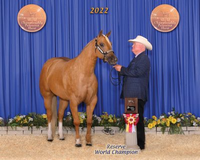 Winners – Terry Bradshaw Quarter Horses